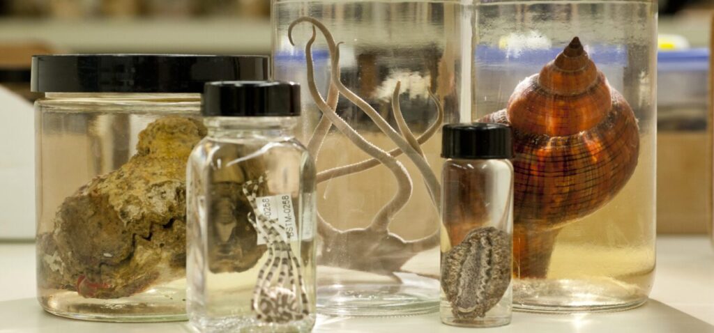 Natural Science Collections Alliance – Our members are part of an ...